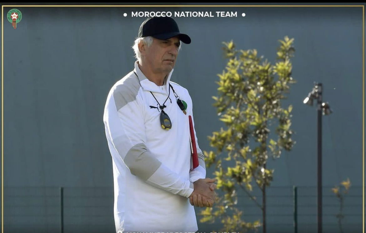 Lo sfogo di Halilhodzic (ex ct Marocco): "Mi hanno tolto l'orgoglio ...