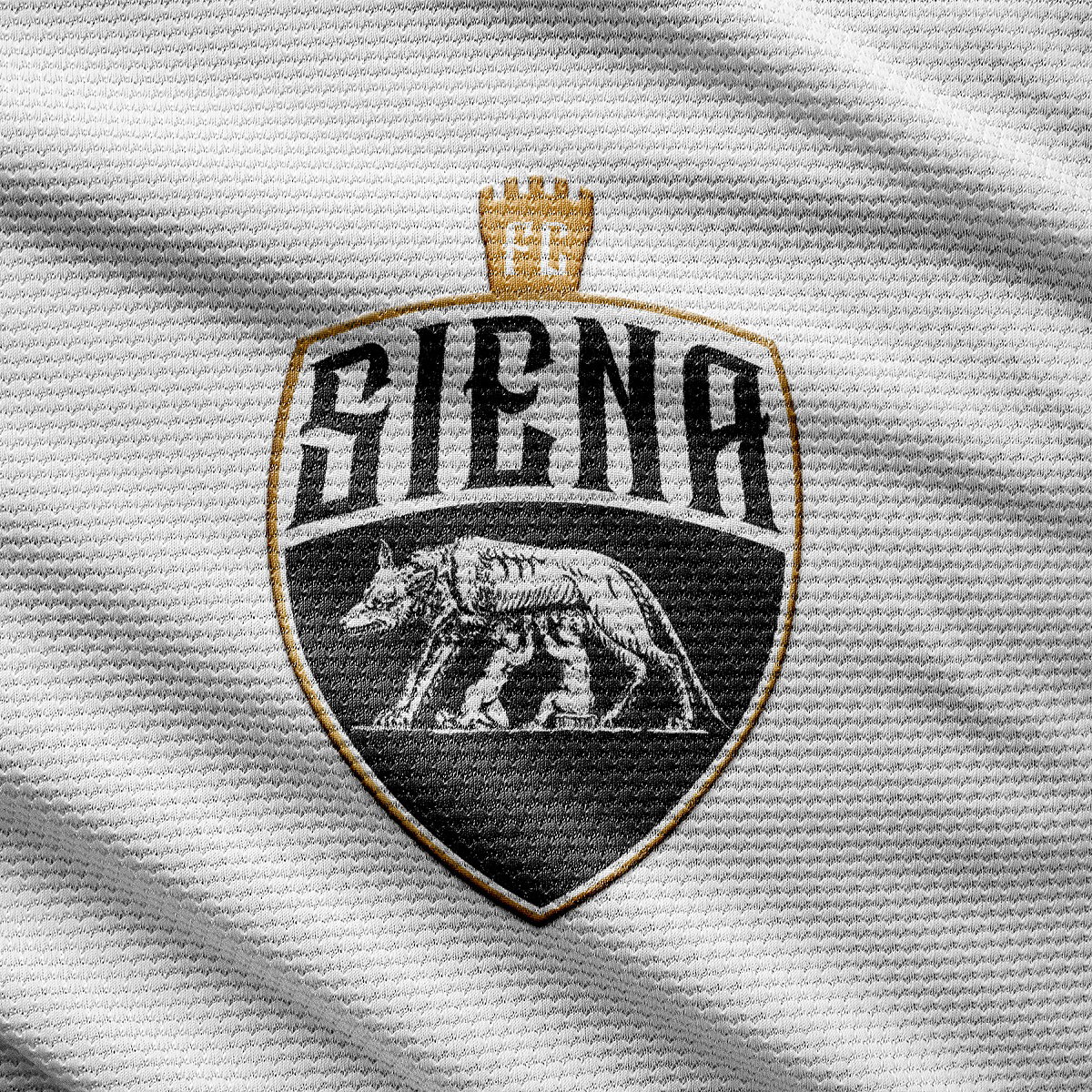 Il Siena riparte dall'Eccellenza. Presentato il nuovo logo | Alfredo ...