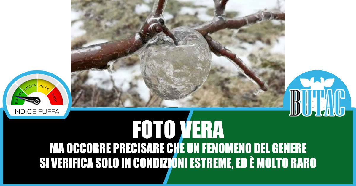 Le mele fantasma e Luca Zaia | Butac - Bufale Un Tanto Al Chilo