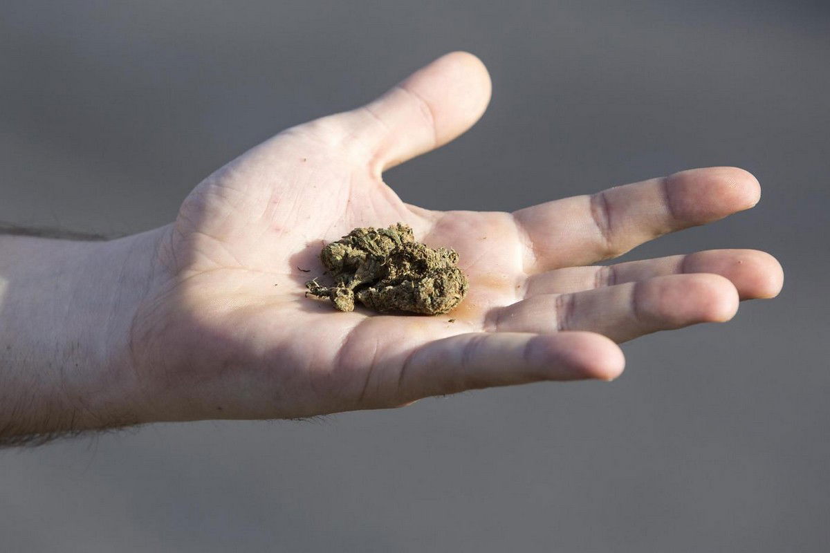 La marijuana non è più doping, o si? | Giornalettismo