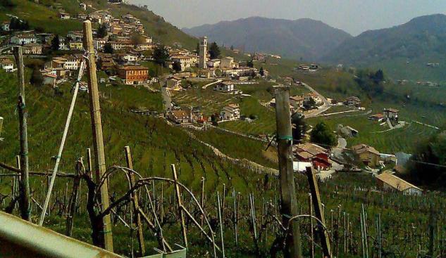 Prosecco, le Colline Conegliano e Valdobbiadene sono patrimonio Unesco