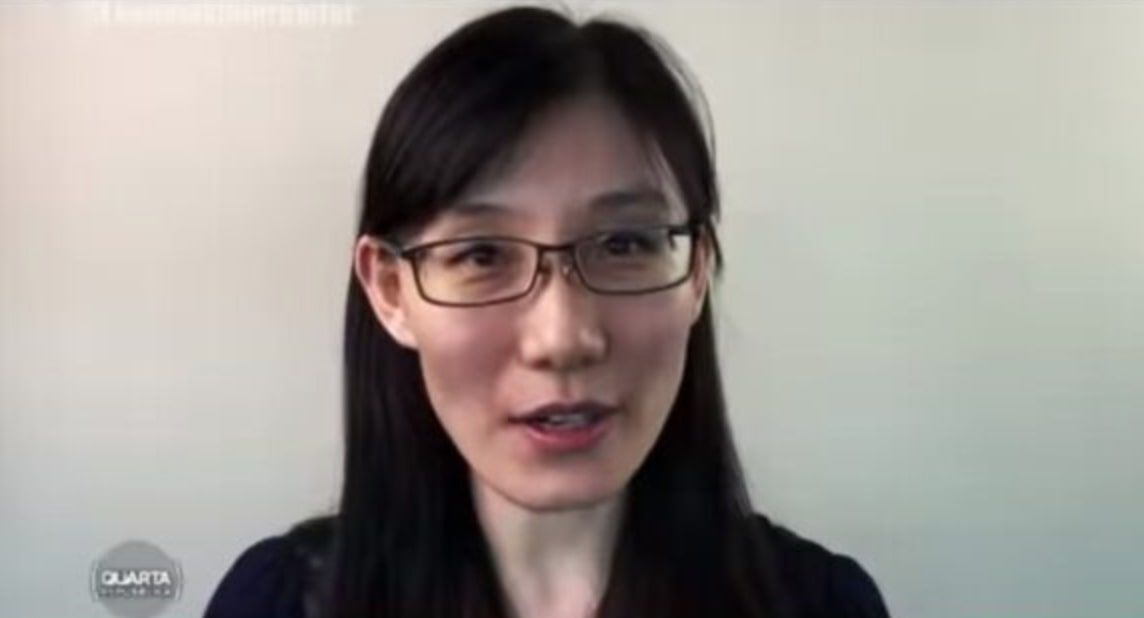 Li-Meng Yan è collegata a Steve Bannon, dice che coronavirus è artificiale