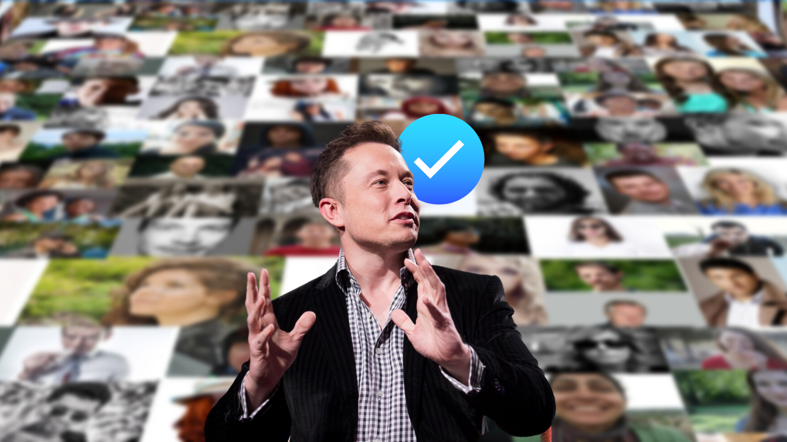 Spunta blu su X in "regalo", le nuove regole | Giornalettismo