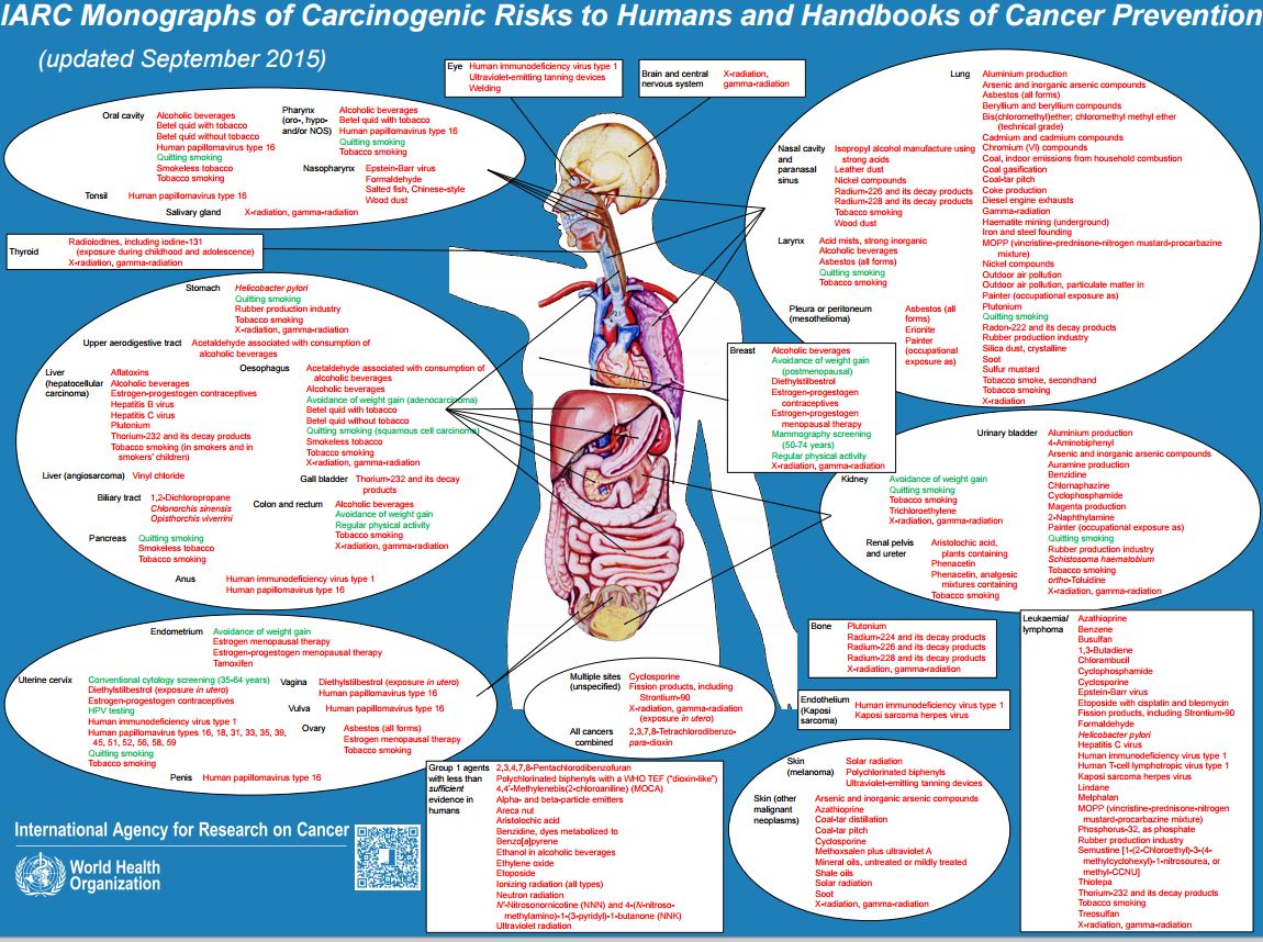 Cosa c'è di vero nella storia della carne cancerogena | NextQuotidiano
