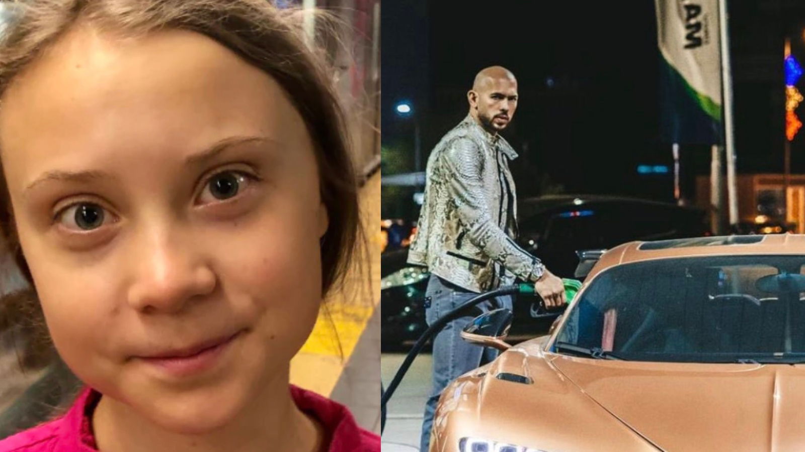 Giulia Sarti, Bogdan Tibusche e la storia dei video hard