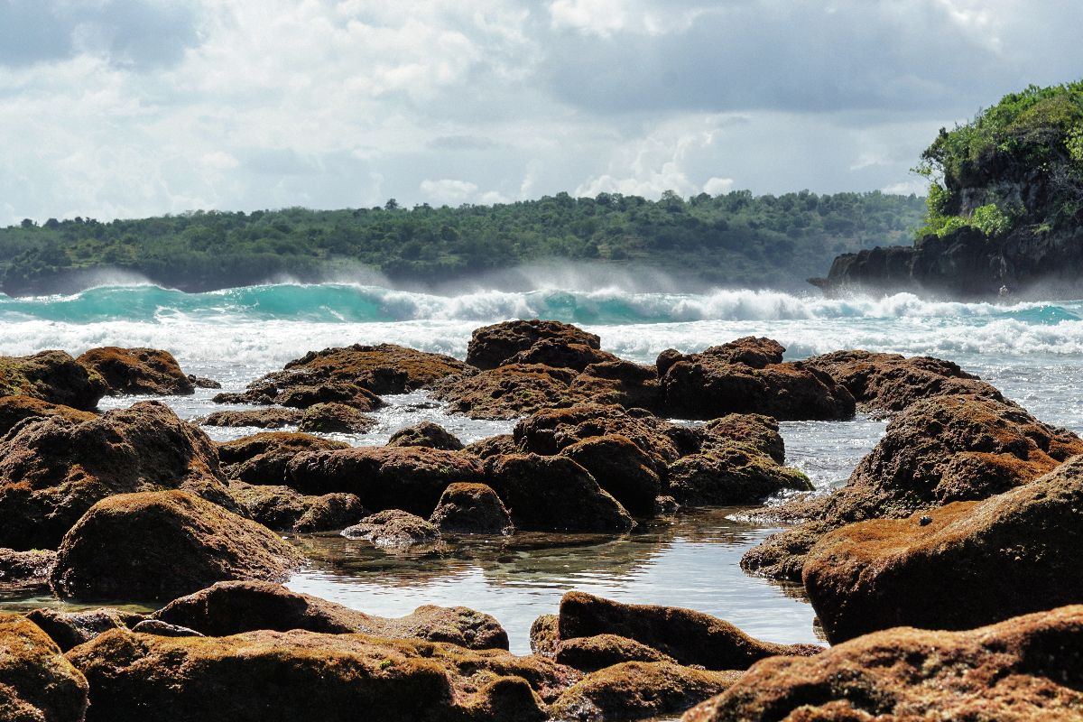 Cosa fare a Nusa Penida: un isola selvaggia ad un ora da Bali