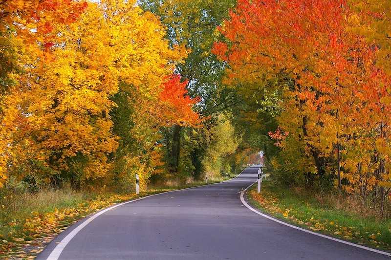 Foliage: i luoghi migliori in cui ammirare i colori dell'autunno ...