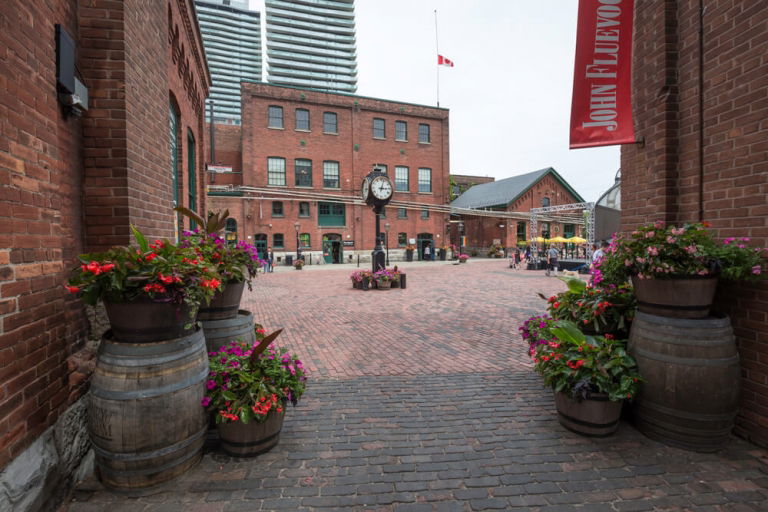 Cosa vedere a Toronto: 10 luoghi imperdibili | VoloGratis.org