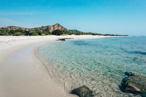 Spiaggia di Berchida: tutto quello che devi sapere per visitarla ...