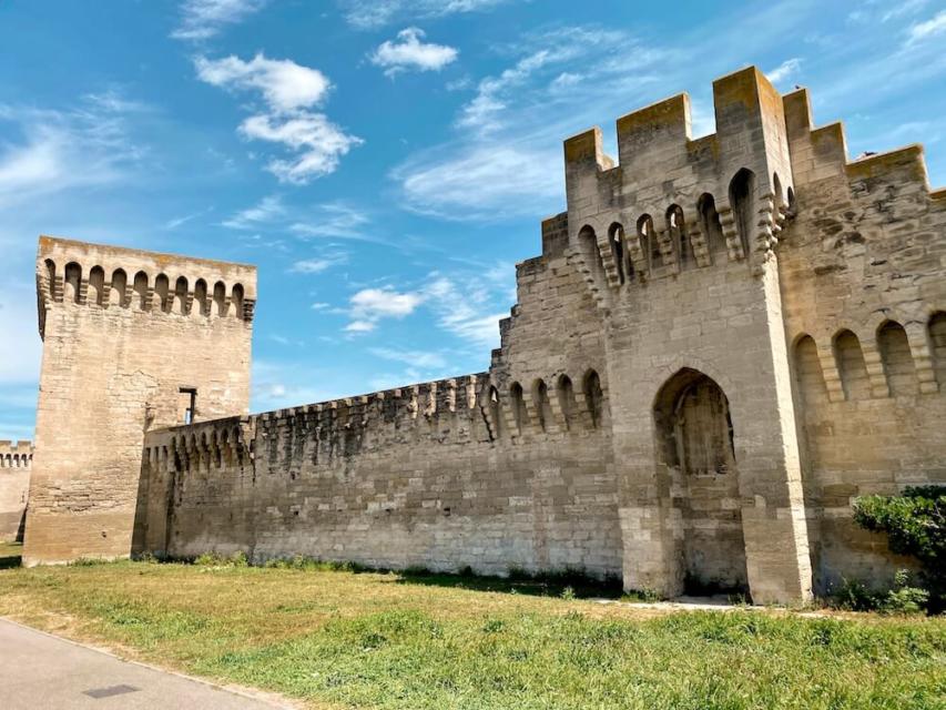 Cosa vedere ad Avignone: guida definitiva per visitare la Città dei ...