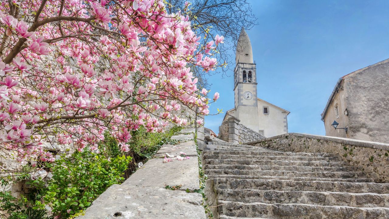 Cosa vedere nel Carso sloveno: Itinerario 2024