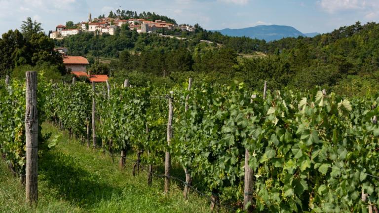 Cosa vedere nel Carso sloveno: Itinerario 2024